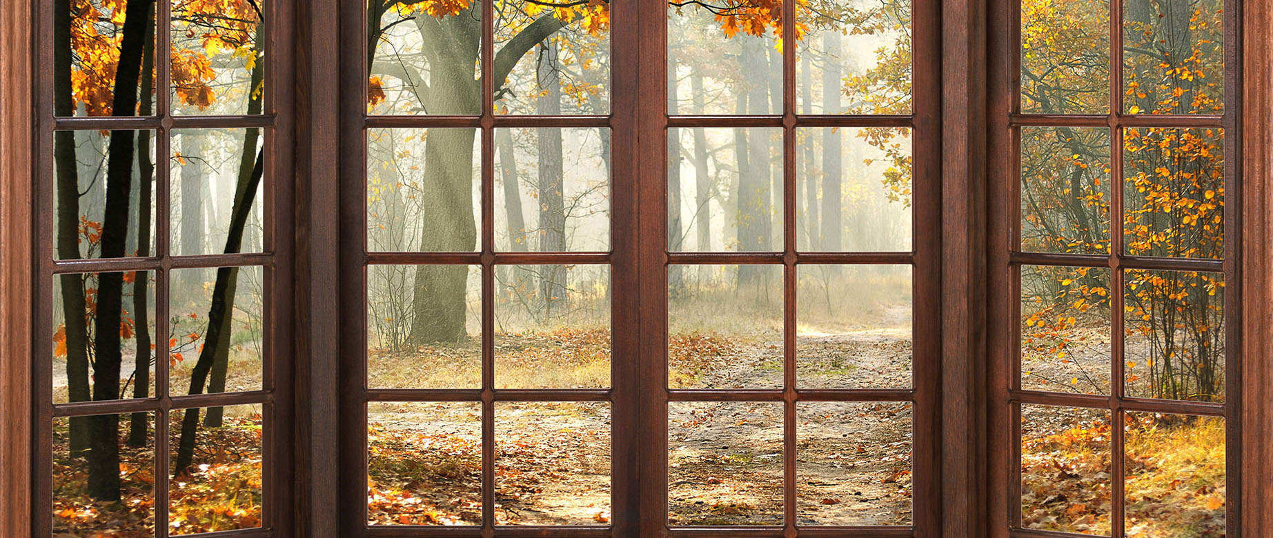 Autumn Season Through Brown Glass Door Wallpaper For Rooms | Morphico
