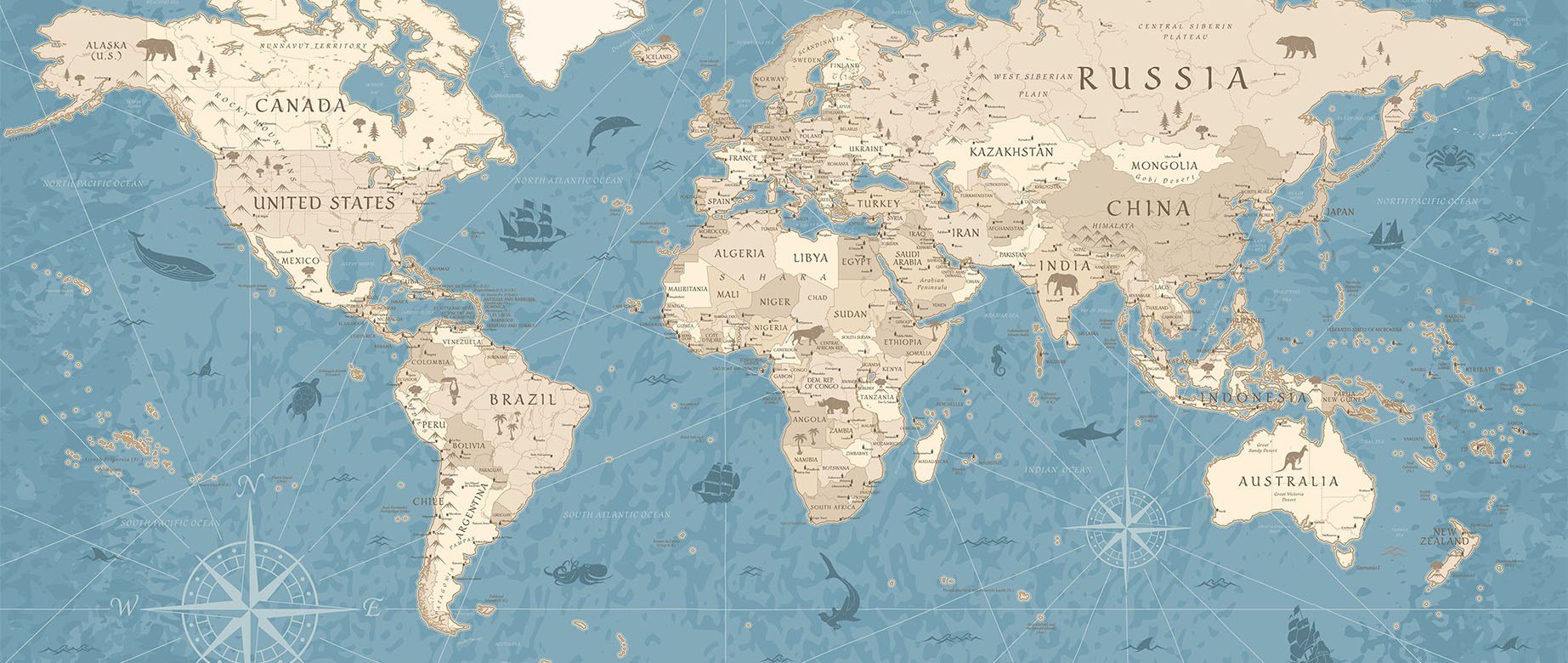 Navy Map Wallpaper. Buy Online | Morphico